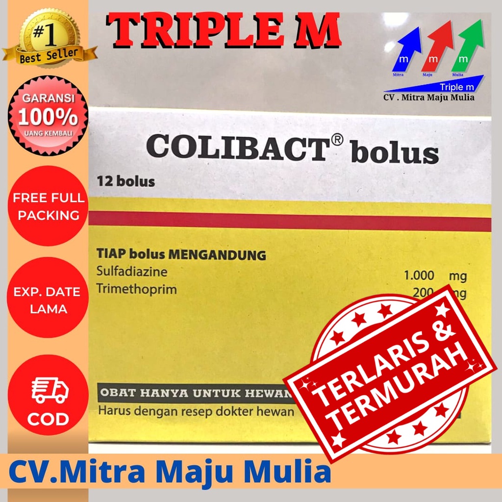 Jual COLIBACT BOLUS 1 BOX ISI 12 BOLUS SANBE | Shopee Indonesia