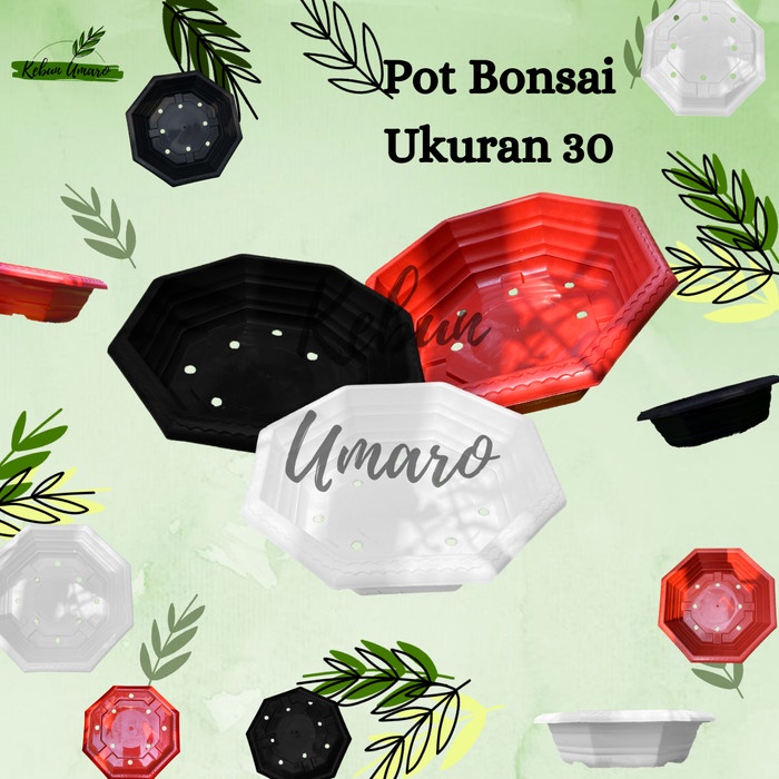 Jual Pot Bonsai Ukuran 30 / Pot Bonzai / Pot Bonsai Santigi / Pot ...