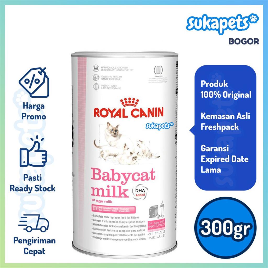 Jual Royal Canin Baby Cat Milk Susu Bayi Kucing 300gr | Shopee Indonesia
