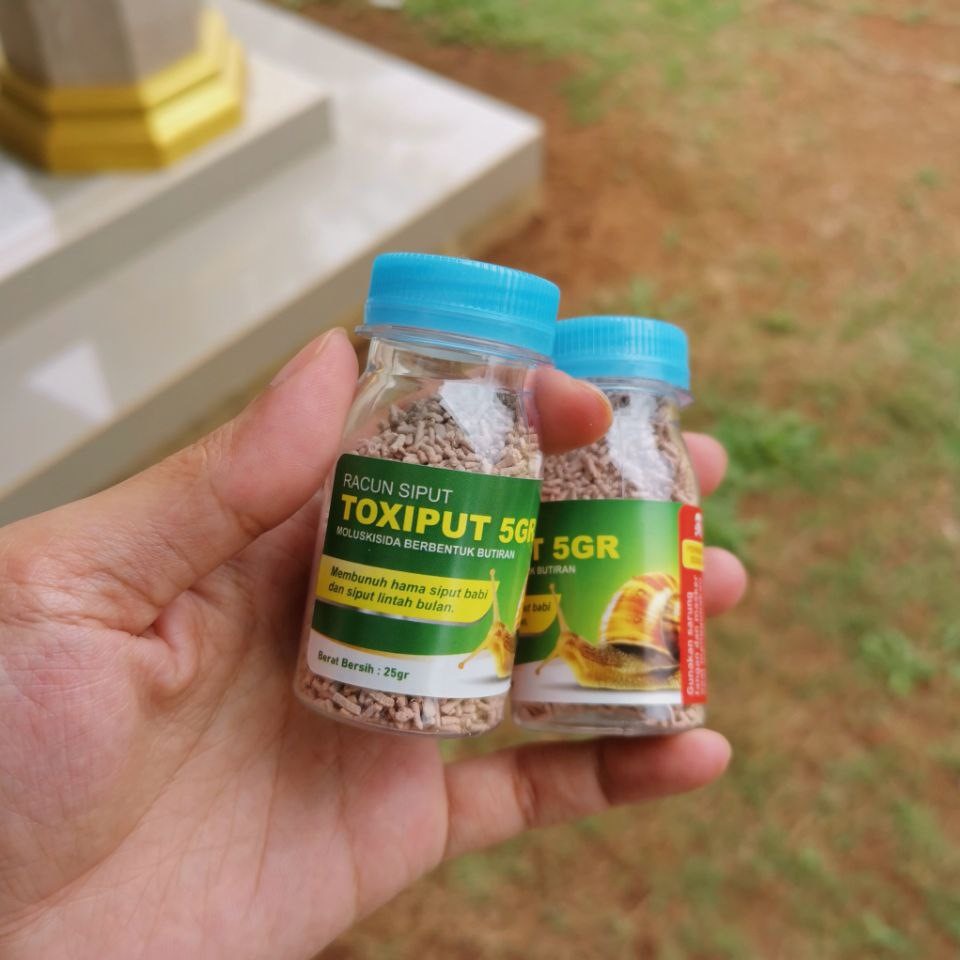 Jual Toxiput 5GR moluskisida racun siput 25 gram obat anti bekicot ...
