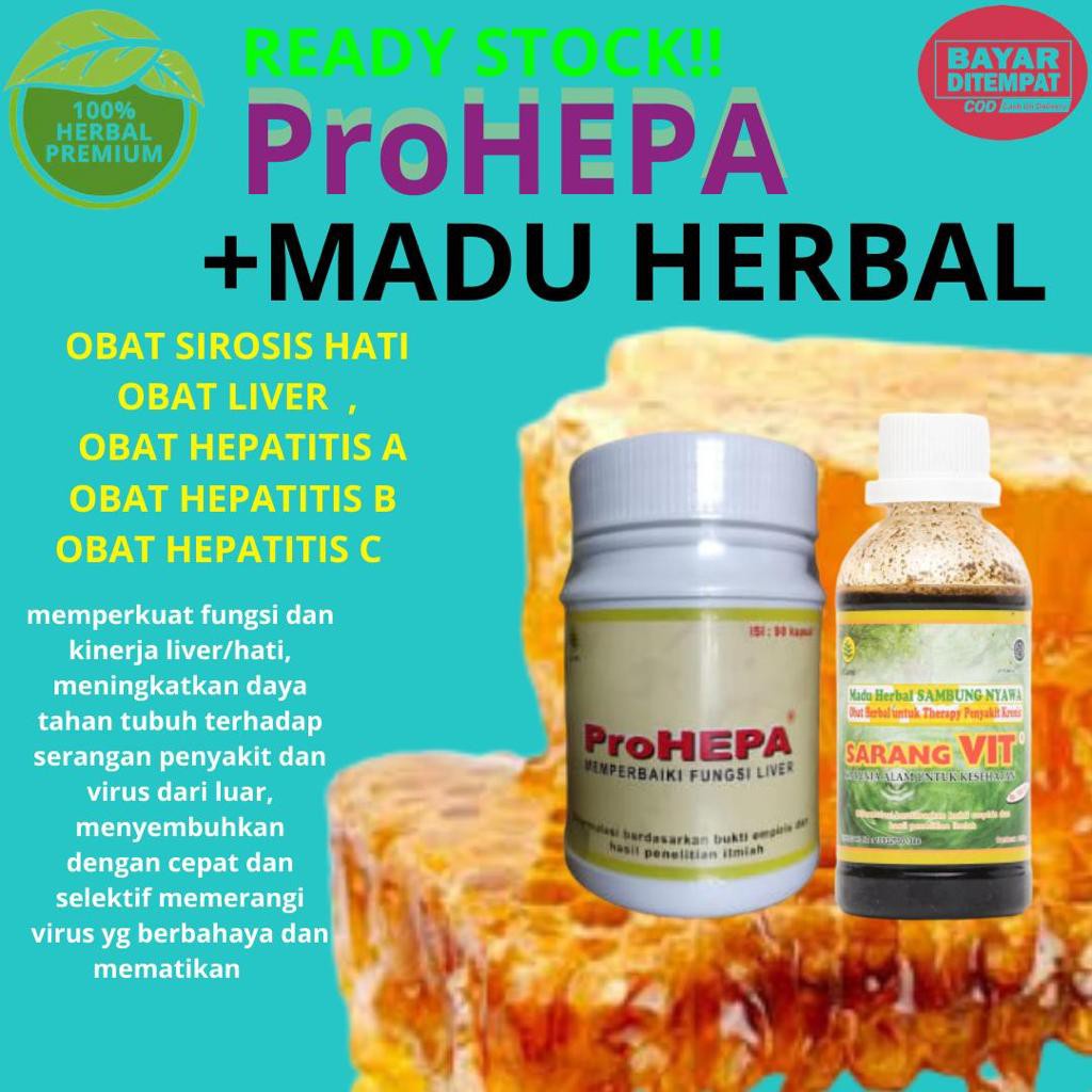 Jual Obat Sirosis Hati Liver Hepatitis A Hepatitis B Hepatitis C Sakit ...