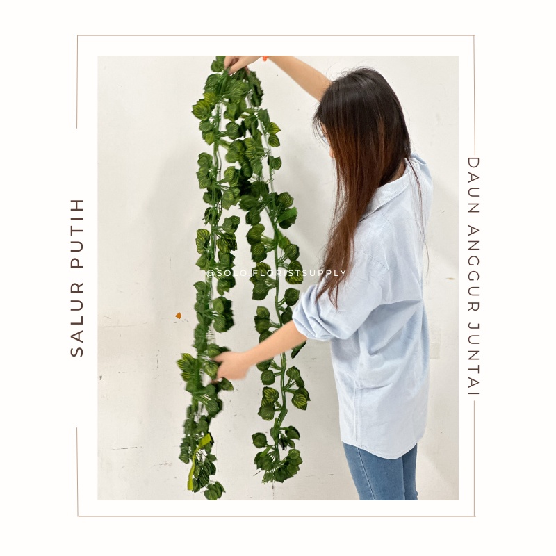 Jual DAUN ANGGUR JUNTAI Plastik Bunga Rambat Sintesis Tanaman Hias ...