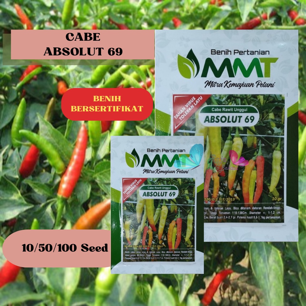 Jual Biji Benih CABE ABSOLUT 69 Ori - Repack 10 & 50 Bibit Cabai Lombok ...