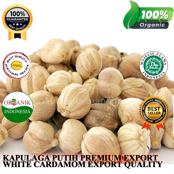 Jual Kapulaga Putih (bulat) Premium 1 Kg / Indonesian White Cardamom ...