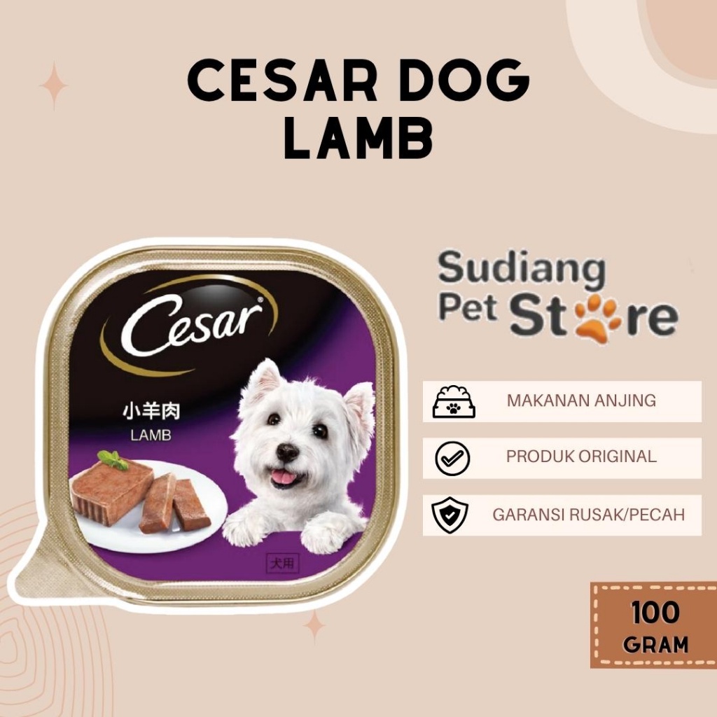 Jual Makanan Basah Anjing Cesar Lamb Dog Wet Food 100 gr | Shopee Indonesia