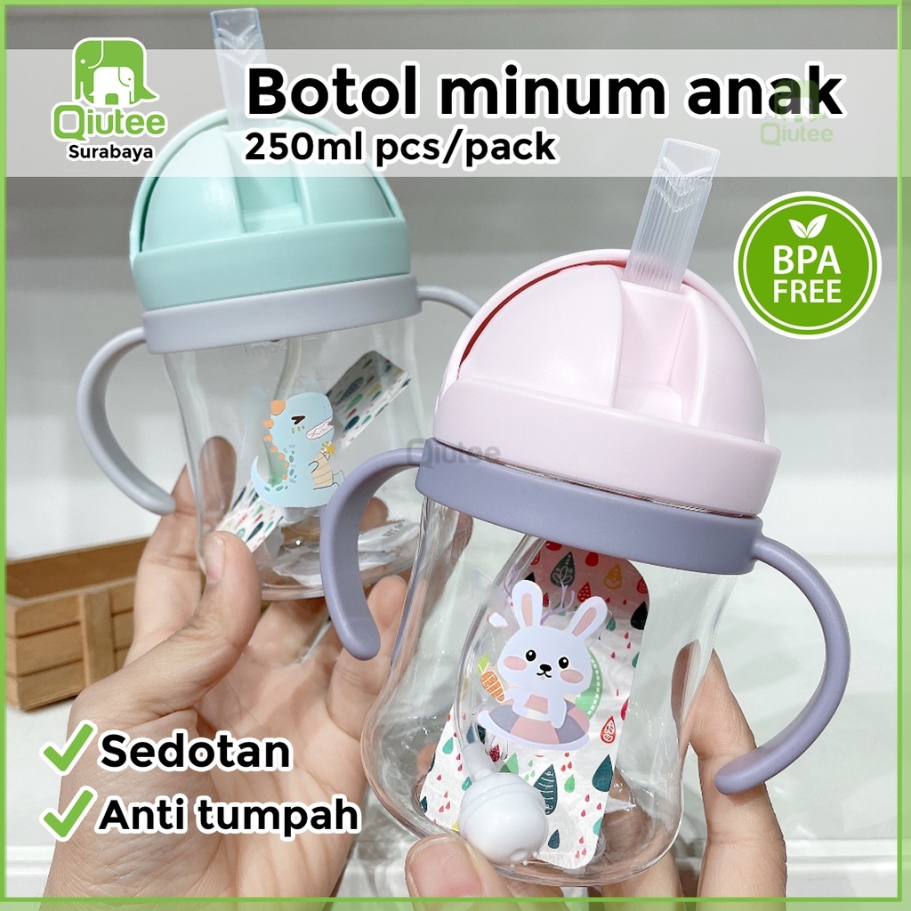 Jual [TERLARIS] Botol Minum Anak 250ML Sedotan Lucu Botol Minum Karakter Anti Tumpah Murah ...