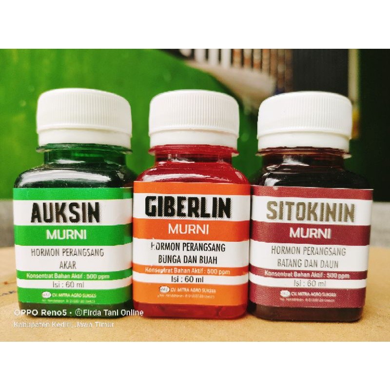 Jual Paket Komplit 3 Botol Hormon Tanaman Auksin Giberlin Sitokinin ...