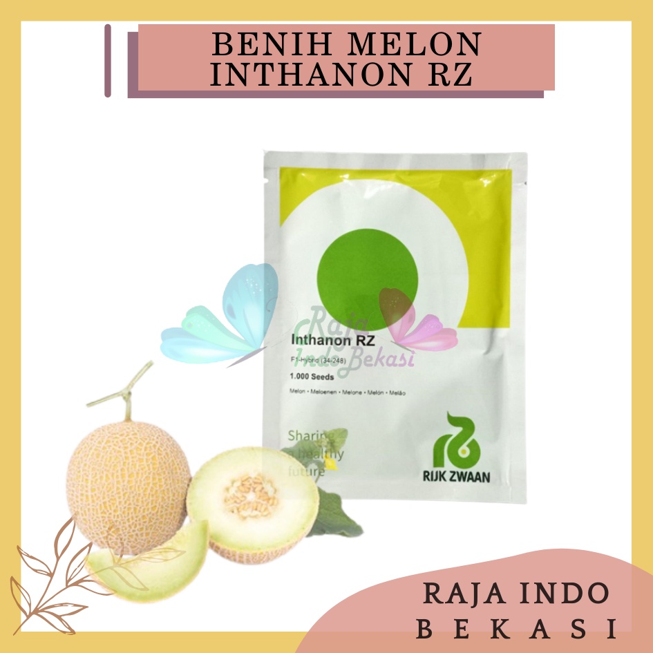 Jual Benih MELON INTHANON RZ F1 Ori - Repack 10 Bibit Biji Melon ...