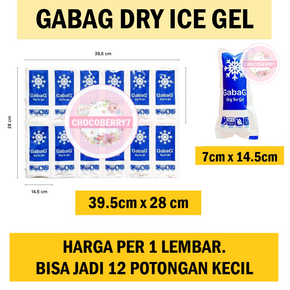 Jual GABAG Dry ice gel Pack Pendingin Makanan Frozen Food Cooler Box ...