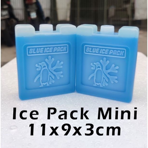 Jual Dry Ice Pack Gel Kotak Pendingin Barang Camping 11 x 9 x 3 Cm ...