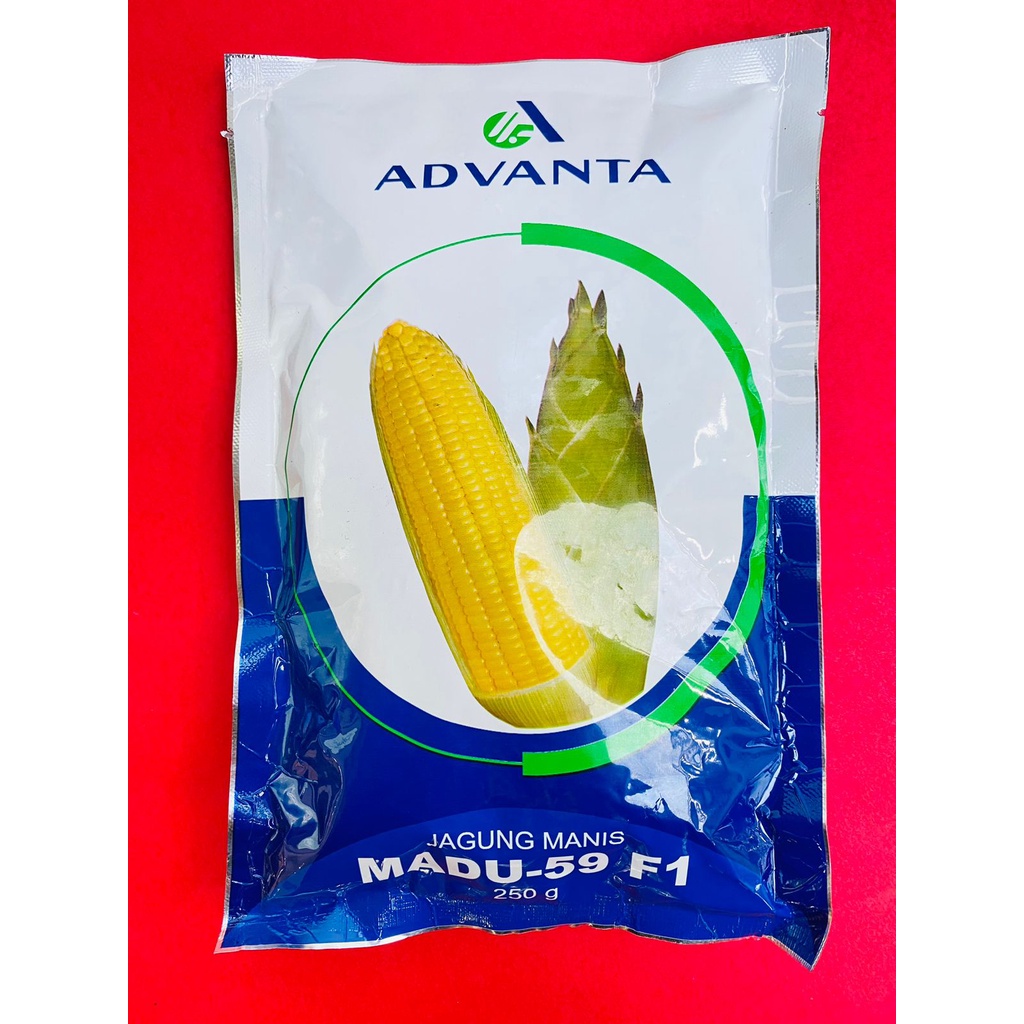 Jual Benih Jagung Manis MADU-59 F1 kemasan 250gr dari ADVANTA hasil ...