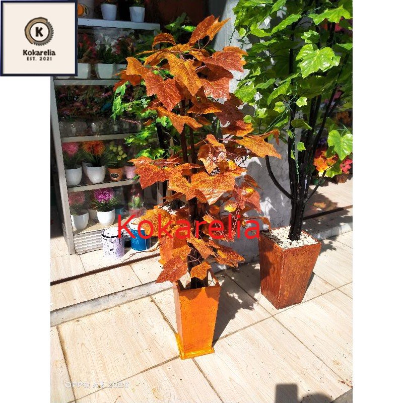 Jual bunga anggur coklat/pojok ruangan/daun anggur | Shopee Indonesia