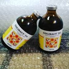 Jual READY COLIBACT INJEKSI 50ML 100ML INJEKSI SANBE OBAT VITAMIN HEWAN ...