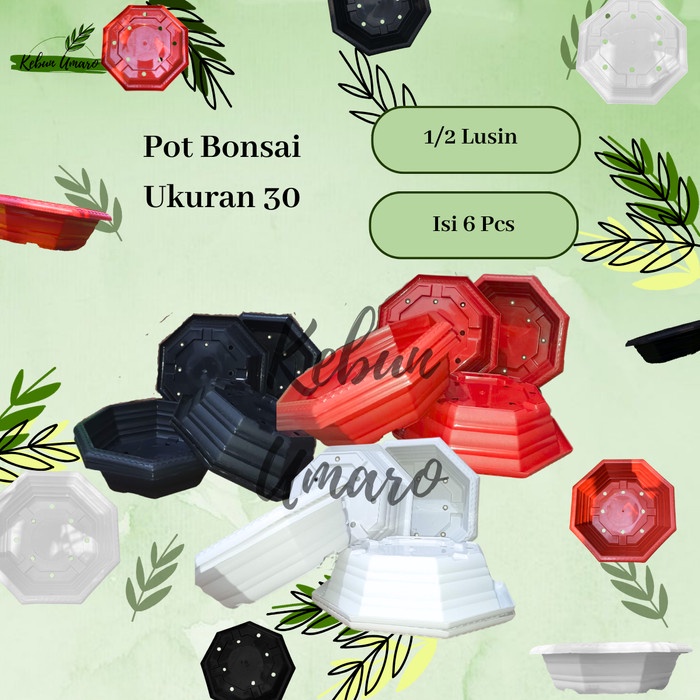 Jual GROSIR 1/2 Lusin Pot Bonsai Ukuran 30 / Pot Bonzai / Pot Bonsai ...