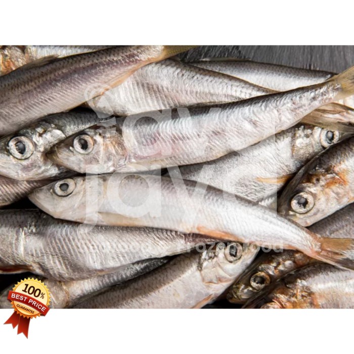 Jual Shisamo Fish / Ikan Cipung / Ikan Sishamo / Ikan Capelin | Shopee ...