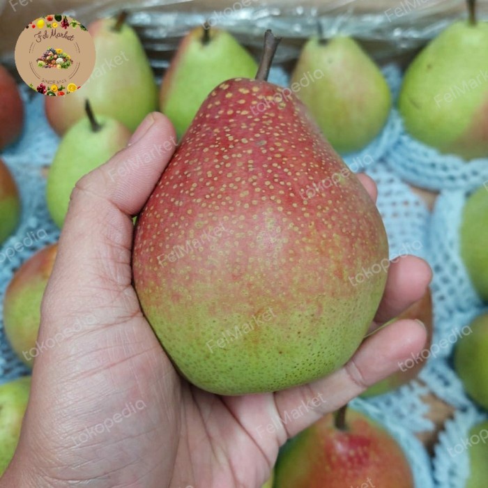 Jual Pear Forelle Import Rrc Manis | Buah Pear Forelle Fresh 1 Kg ...
