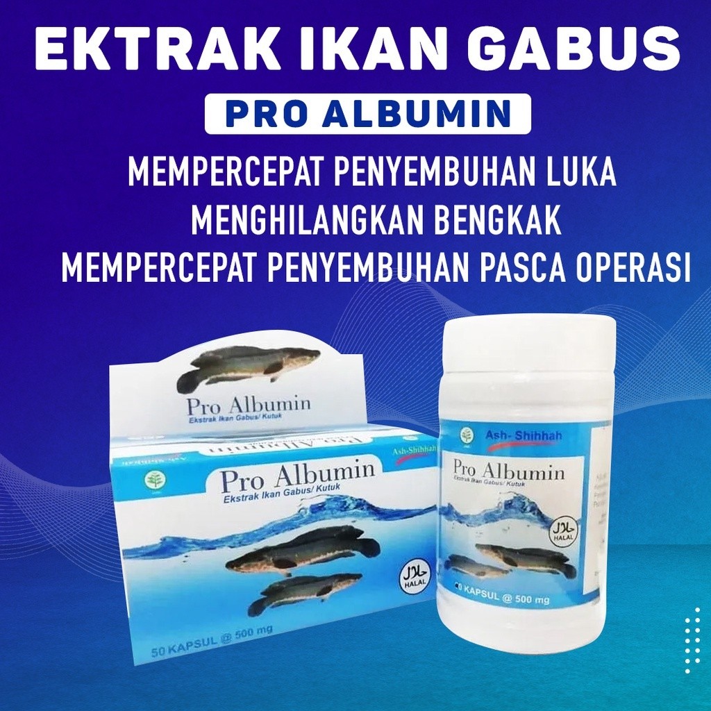 Jual PRO ALBUMIN EKSTRAK IKAN GABUS 50 KAPSUL Obat Pra Operasi-PRO ALBUMIN OBAT LUKA | Shopee ...