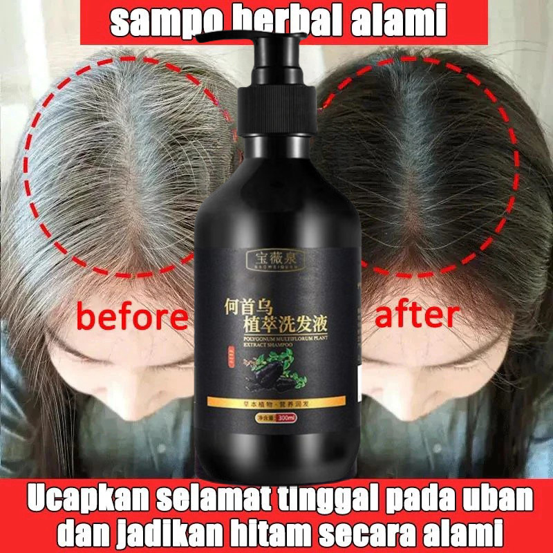 Jual Shampoo Penghitam Rambut Uban Ampuh - Shampo Black Herbal Natural ...