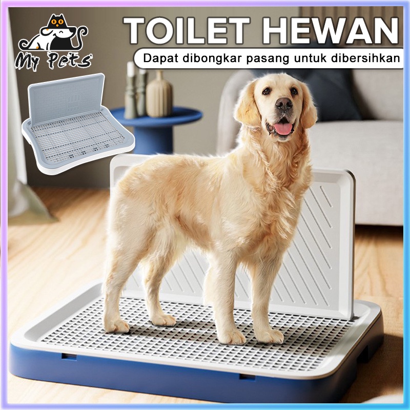 Jual Pet Toilet Training Tempat Pipis Anjing Besar Dan Dinding Toilet ...