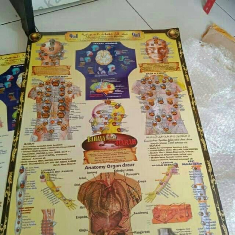 Jual Poster 9 in 1 Mengenal Titik Bekam | Shopee Indonesia