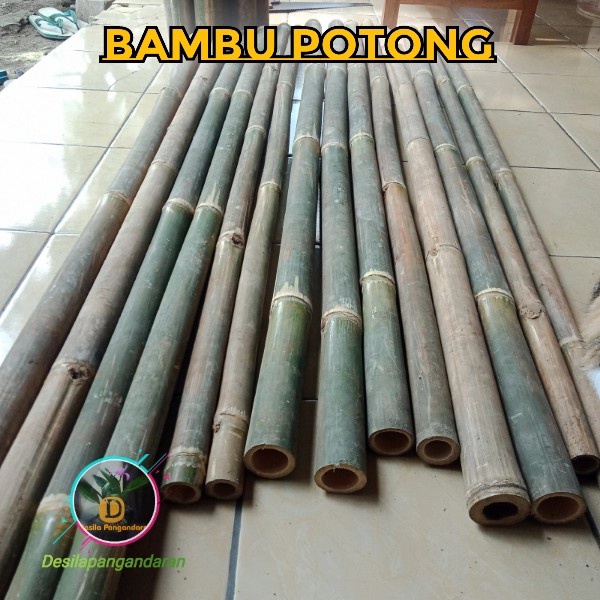 Jual bambu potongan ukuran 150 x 4 cm bambu bulat | Shopee Indonesia