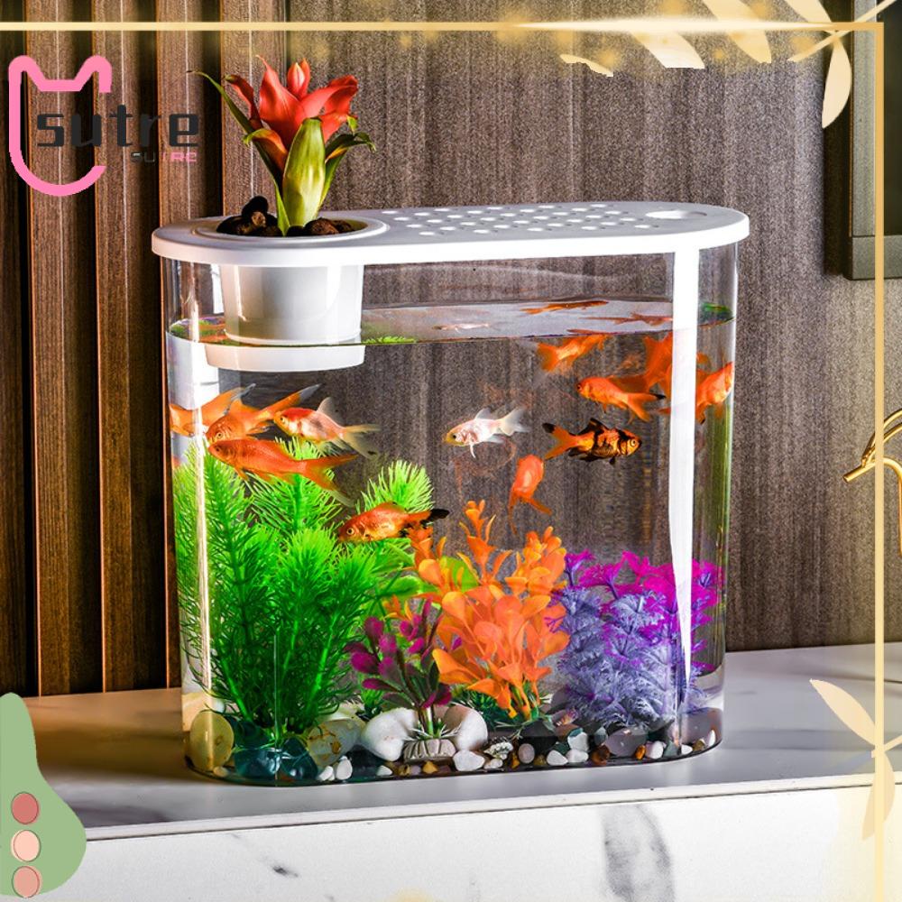 Jual Sutre Goldfish Tank, Mangkok Ikan Mas Mini Silinder, Meja Aquarium ...