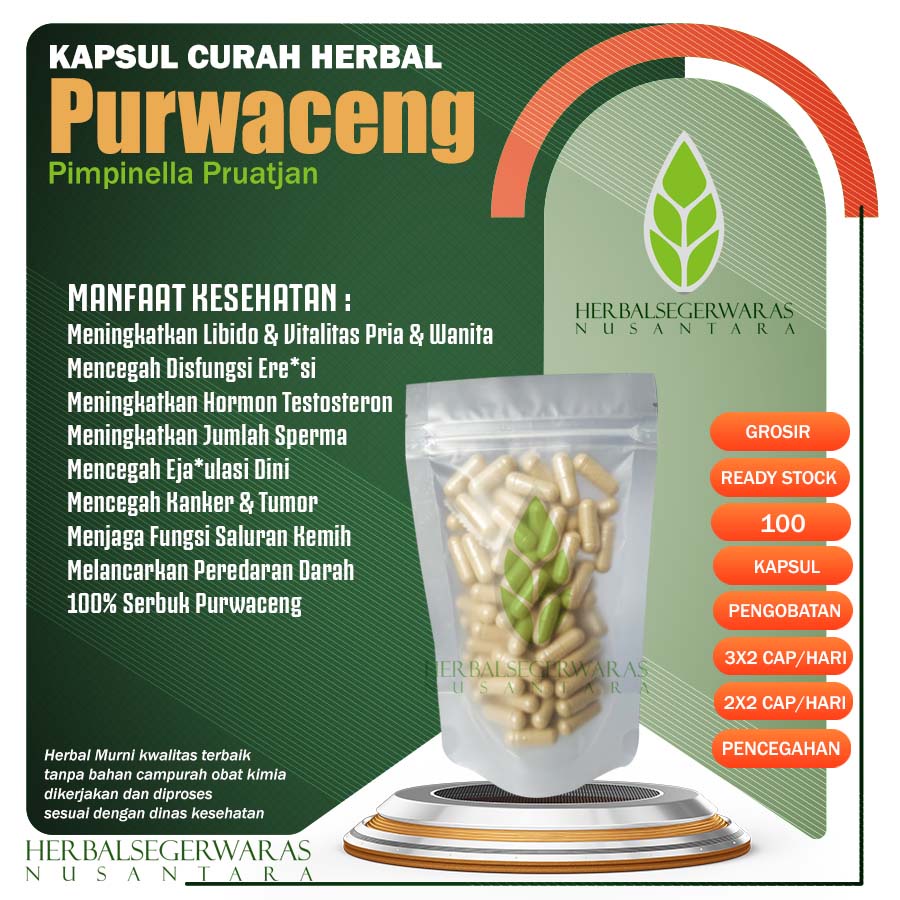 Jual Purwaceng 100 Kapsul Curah Herbal Menjaga Stamina Kebugaran Tubuh ...