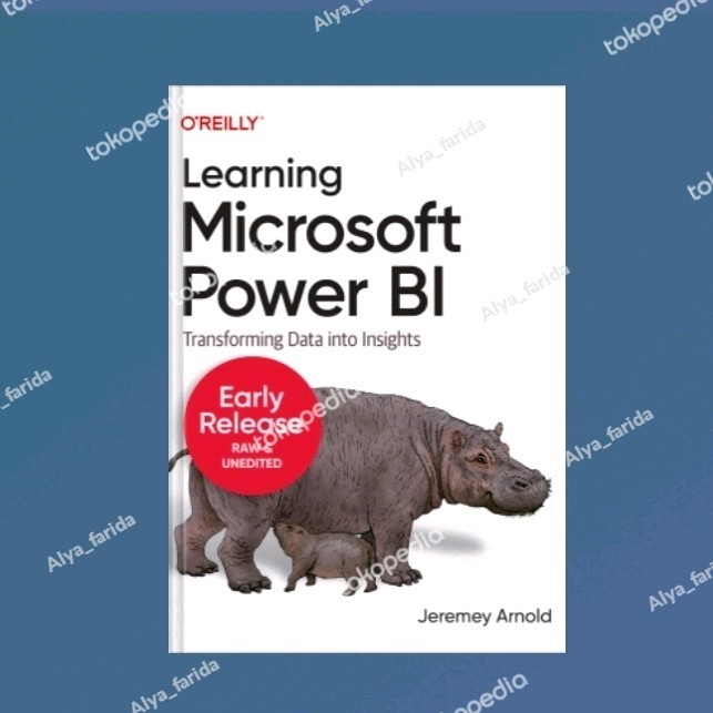 Jual Buku Learning Microsoft Power BI (Fifth Early Release) | Shopee ...