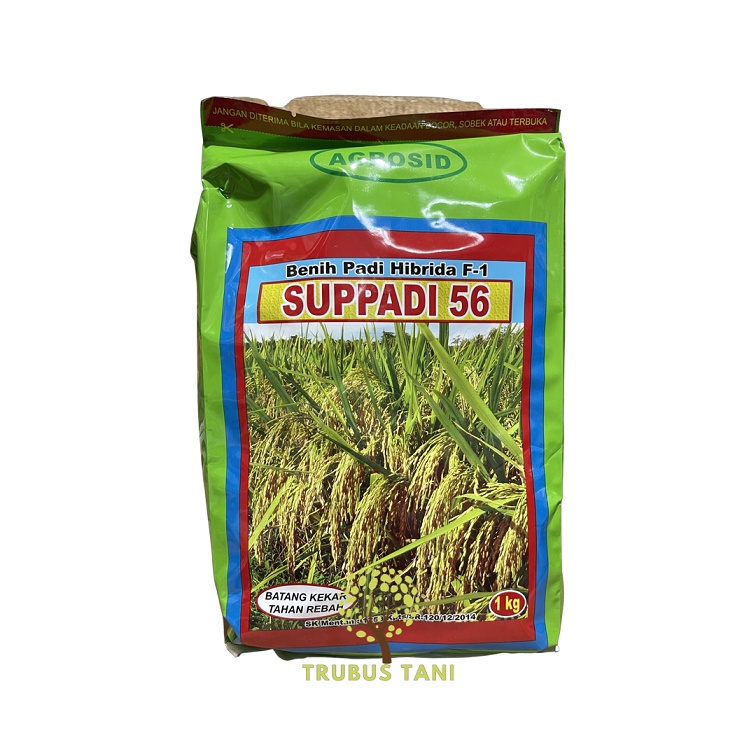 Jual YT64RD BENIH PADI HIBRIDA SUPADI 56 1KG | Shopee Indonesia