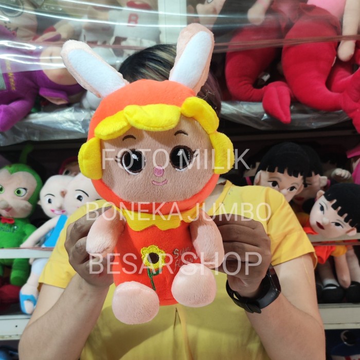 Jual FOTO ASLI REAL PICT! BONEKA RABBIT KELINCI TIKUS HAMSTER KUCING ...