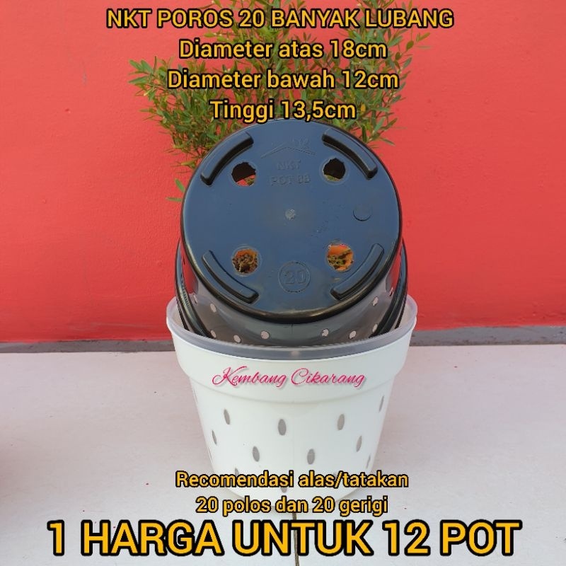 Jual (12 pcs) LUSINAN POROS 20 - DENDRO 20 BANYAK LUBANG : pot bunga ...