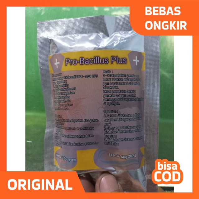 Jual Probiotik Bacillus plus 100gram/Bacilus plus probiotic/bacilus ...