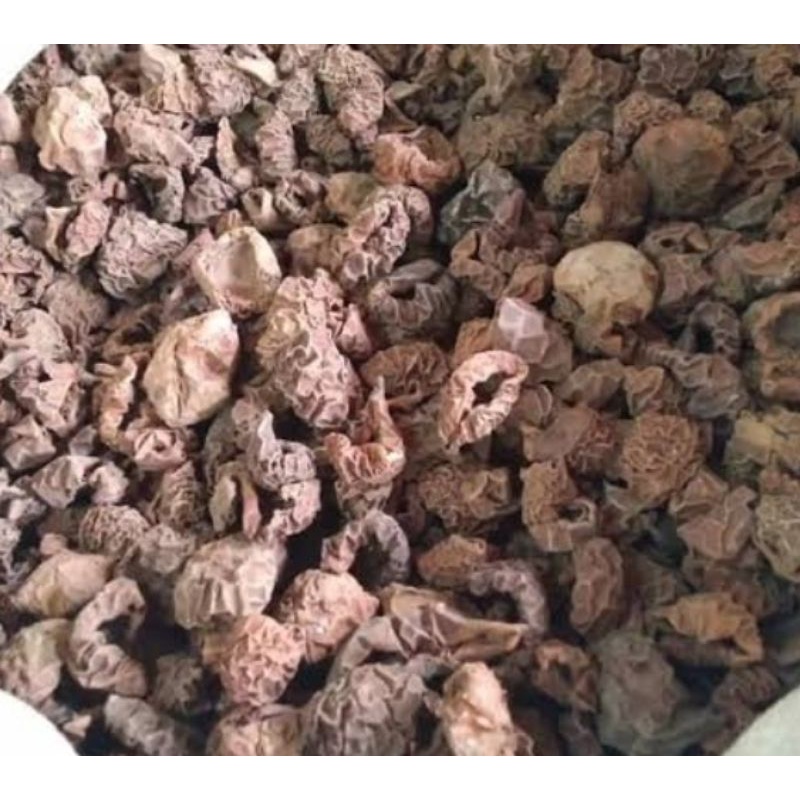 Jual Kulit Pala Kering 1kg- Kulit Daging Buah Pala Kering | Shopee ...