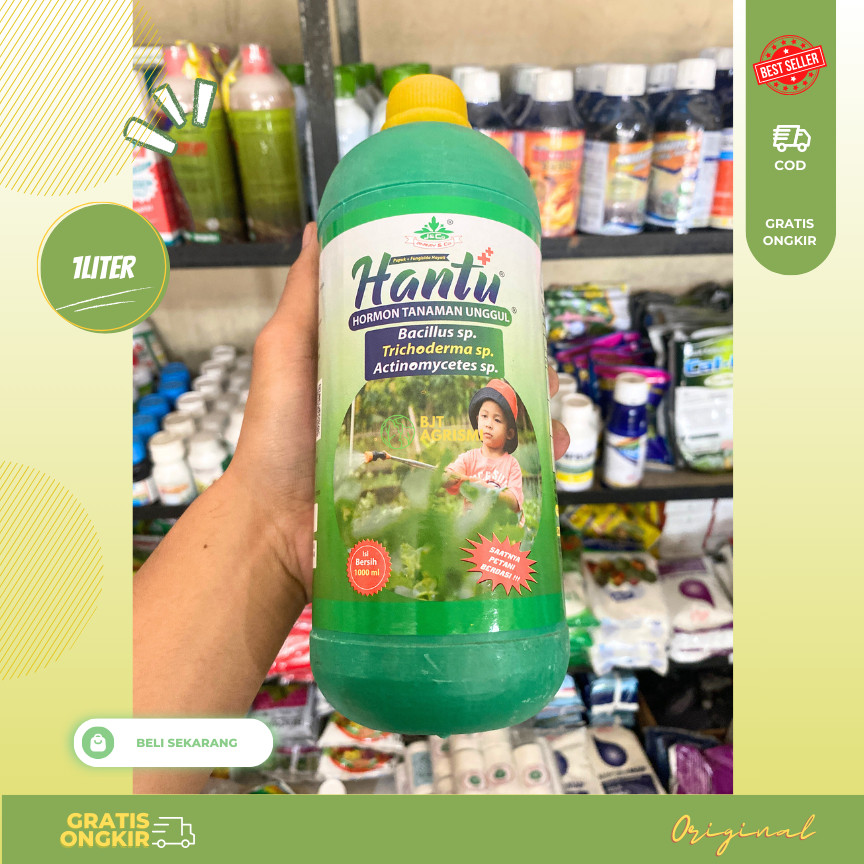 Jual Trichoderma 1Liter Pupuk Cair + Fungisida Hayati Hantu Bacillus sp ...