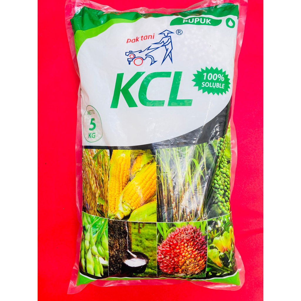 Jual Pupuk KCL PAK TANI isi 5 kg meningkatkan ketahanan atau resistensi ...