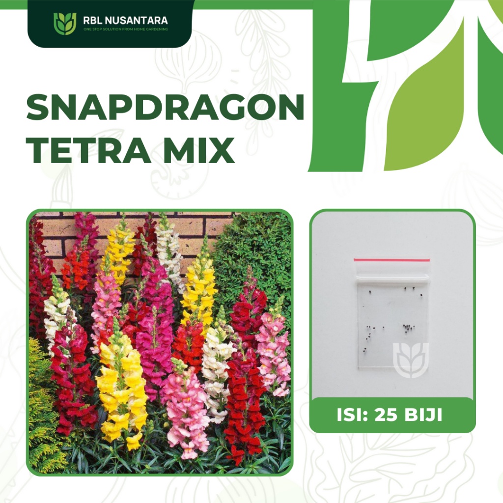 Jual Benih Bunga: 25 Benih Snapdragon Tetra Mix Warna Kualitas Unggul ...