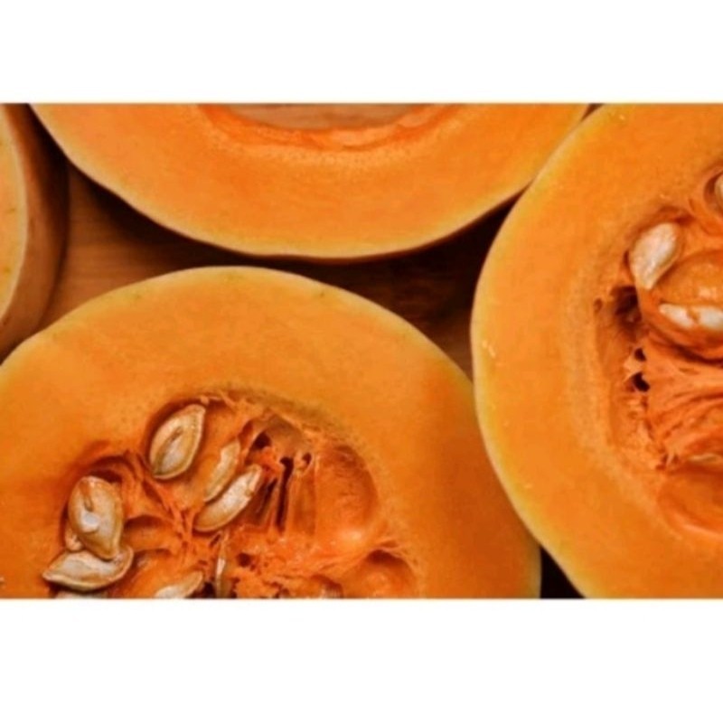 Jual 25 BENIH WALOH KUNING BESAR SUPER JL | Shopee Indonesia