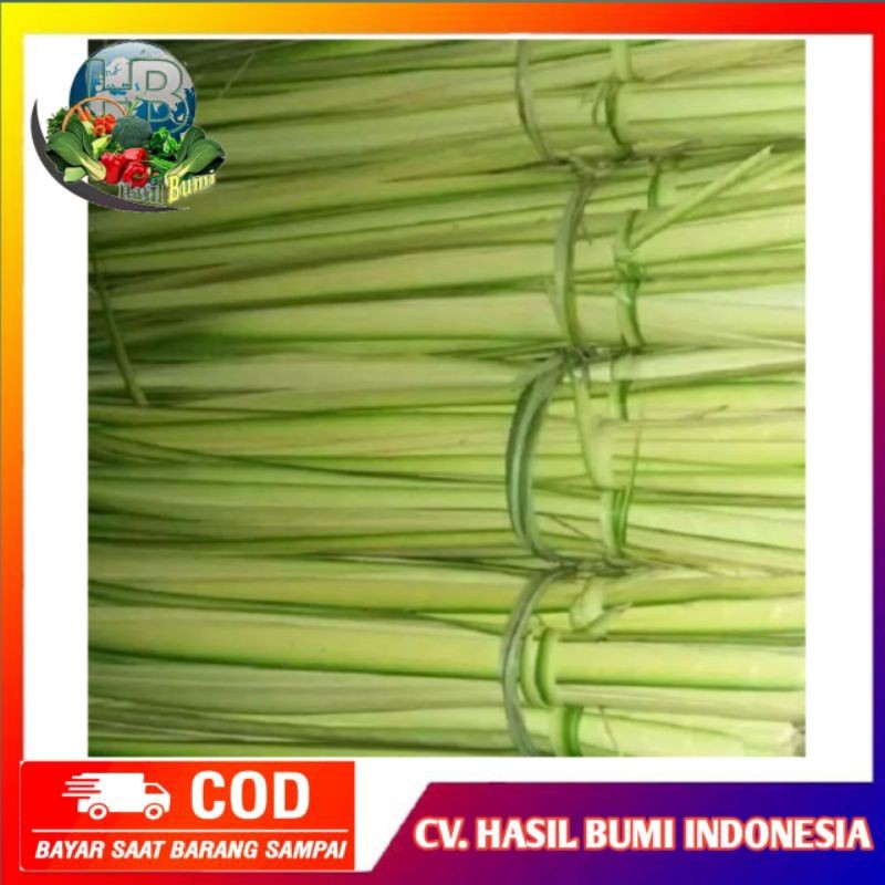 Jual janur kelapa kuning per ikat (25 lembar) | Shopee Indonesia