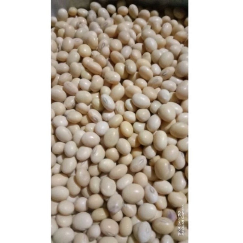 Jual 1 KG BENIH KACANG KEDELAI ANJASMORO SUPER JL | Shopee Indonesia