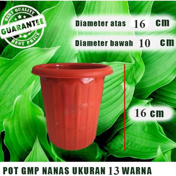 Jual POT GMP NANAS 13 MERAH BATA / Pot Tinggi / Pot Tanaman / Pot Bunga ...