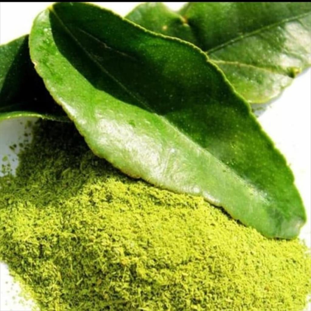 Jual DAUN JERUK BUBUK MURNI 100 GR - PURE KAFFIR LIME LEAVES ORIGINAL ...