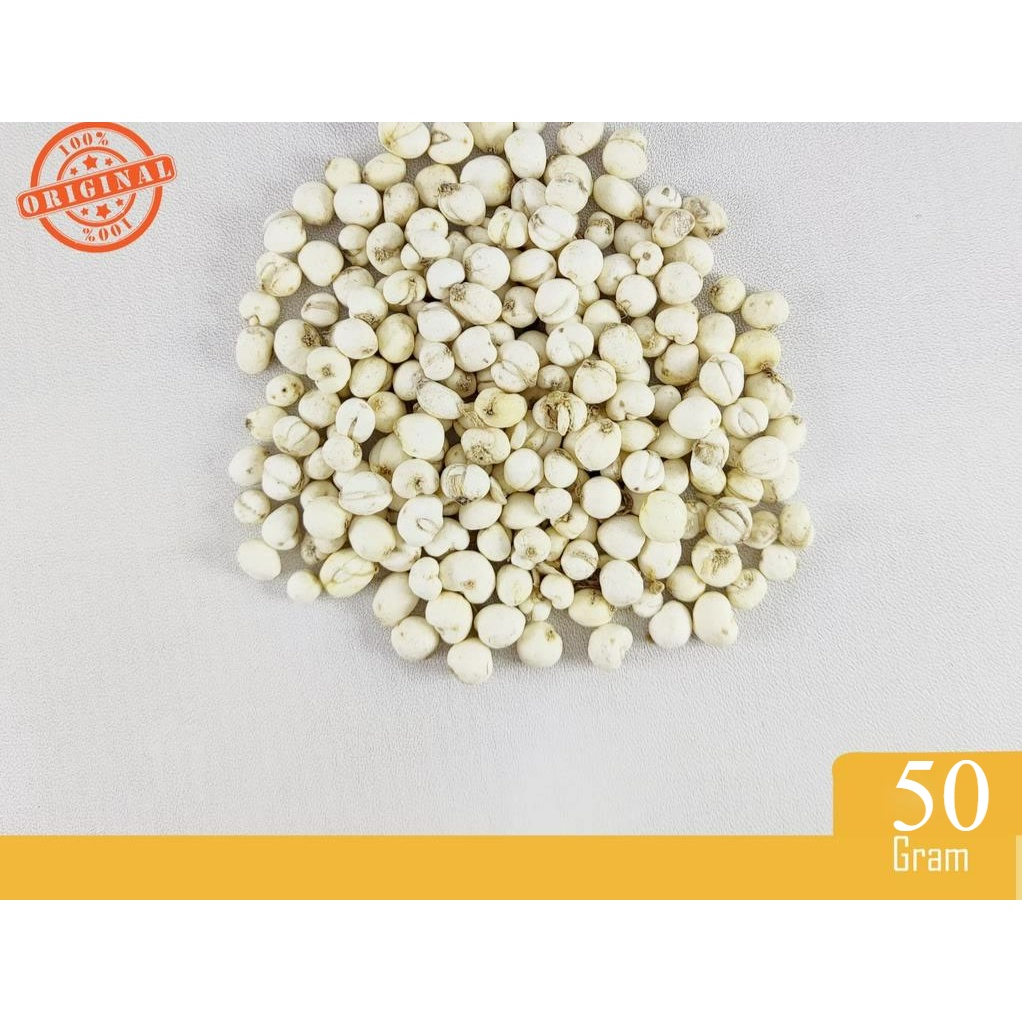 Jual CHUAN BEI (50 gram) / CHUAN BEI MU / BEI MU / CHUANBEI ...