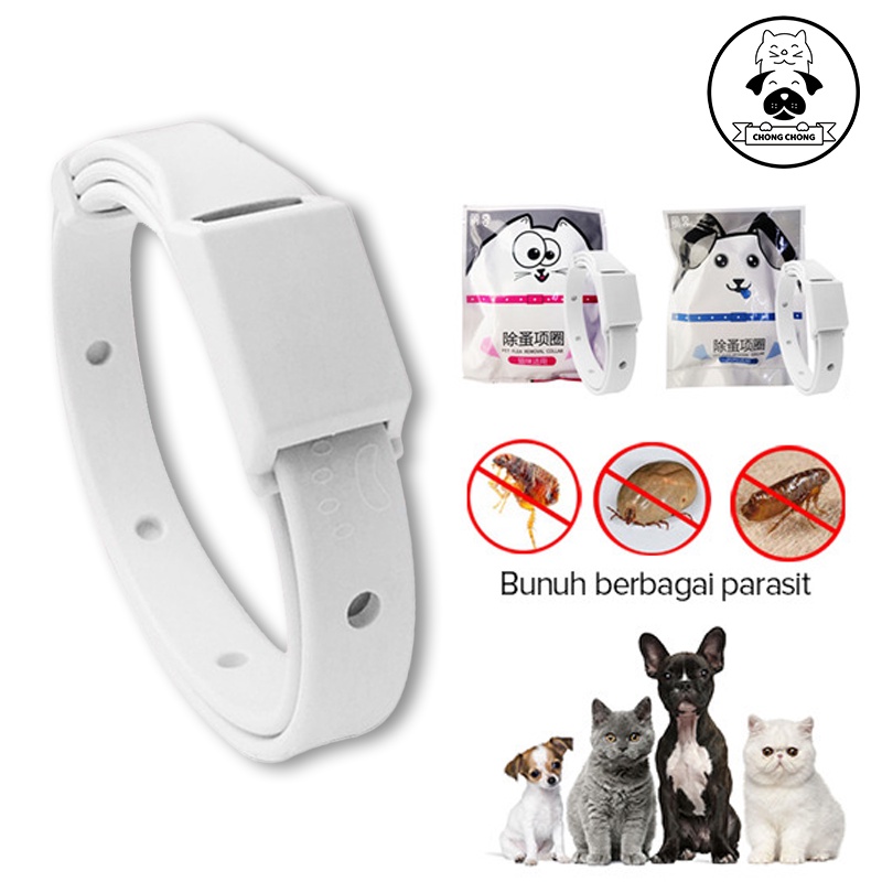 Jual Kalung Kutu Anti Kucing Anjing Serangga Pinjal Dapat Disesuaikan ...