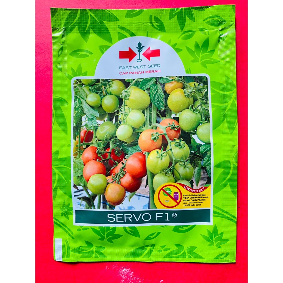 Jual Benih tomat Servo F1 tahan virus dari cap panah merah isi 1750 ...