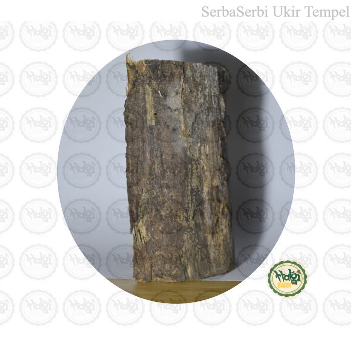 Jual WOOD CHIPS / KAYU BAKAR RAMBUTAN - Chunks Termurah | Shopee Indonesia