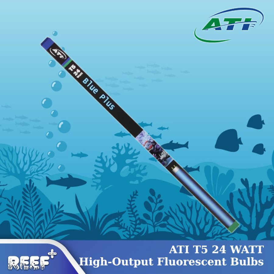 Jual ATI T5 24 Watt Lampu Aquarium High Output Light Bulb - Blue Plus ...