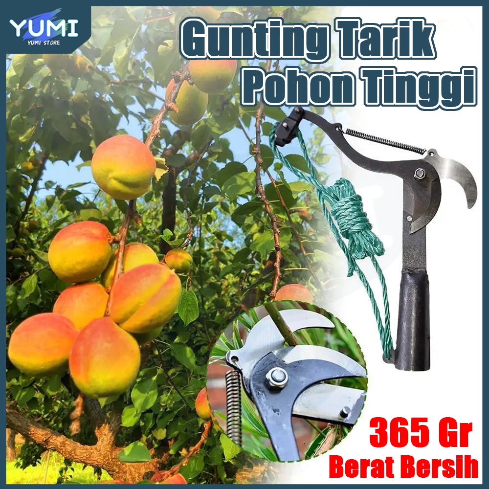 Jual Gunting Dahan Pohon Pisau/Gunting Dahan Tarik/Alat Tamanan/Tree Pruner/Gergaji Gunting ...