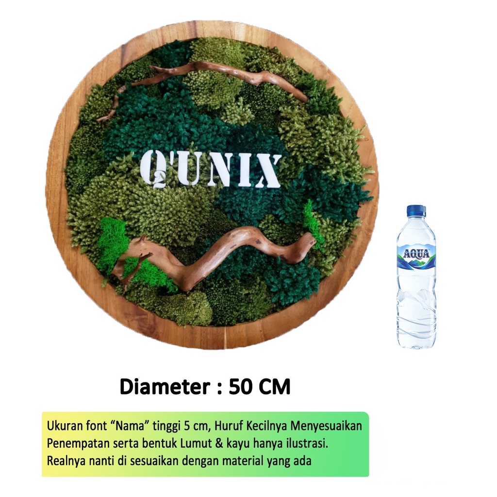 Jual Round Moss Wall Diameter 50cm | Shopee Indonesia