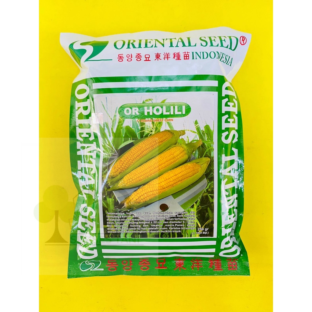 Jual Benih jagung manis hibrida HOLILI F1 isi 250gram dari ORIENTAL ...