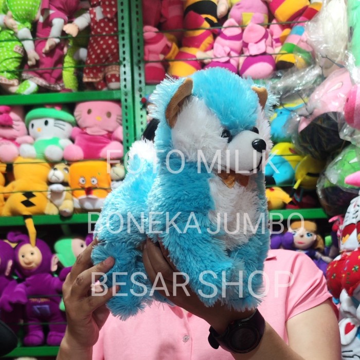 Jual BONEKA KUCING PERSIA ANGORA ANGGORA CAT ANJING HUSKY SERIGALA BIRU ...